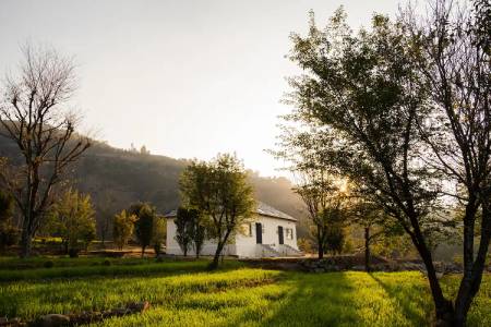 Sukoon Baag - Biophilic House Studio 1